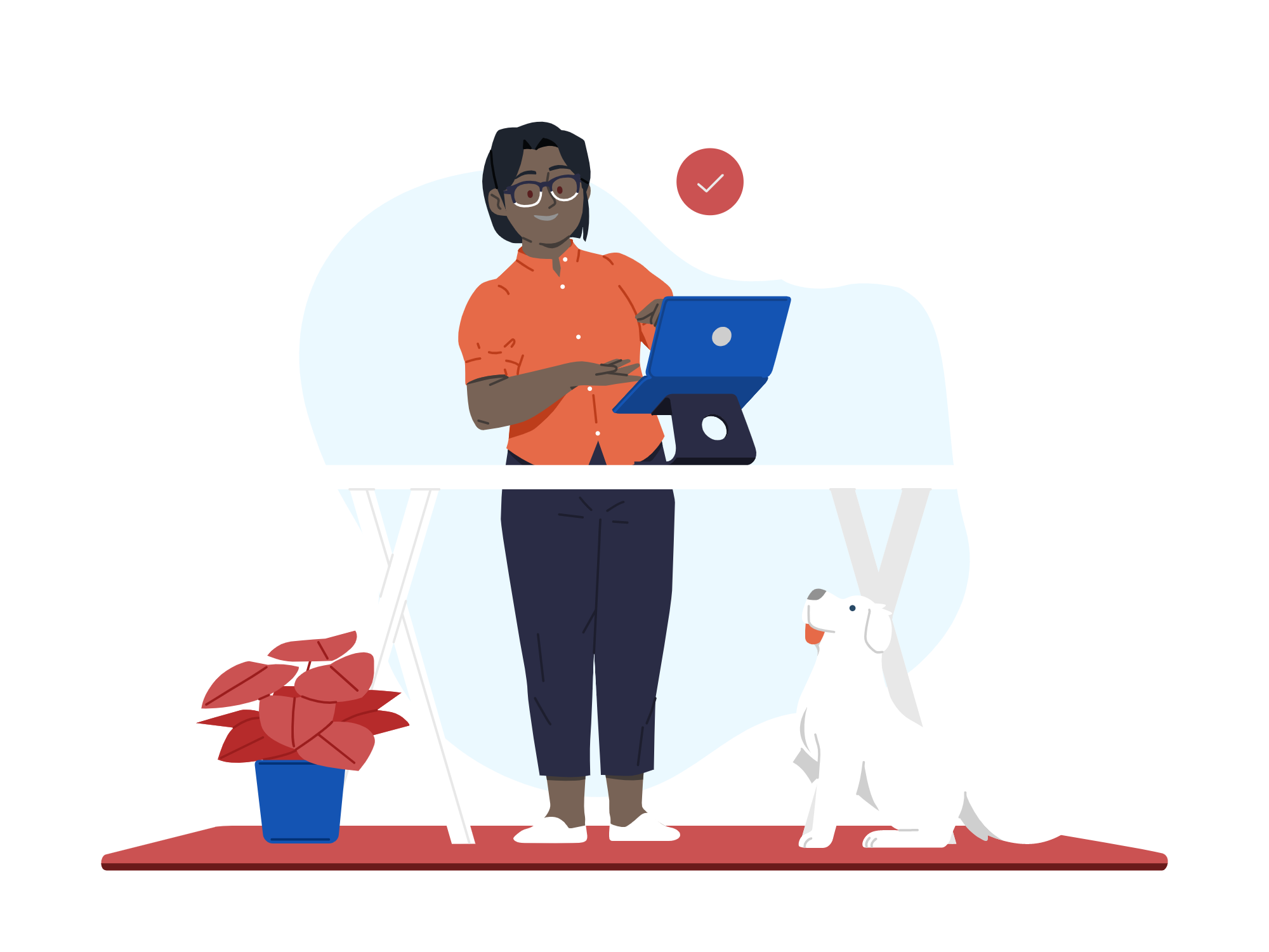 Request and Receive Payments